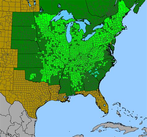 Sugar Maple Range Map Edge Of The Woods Native Plant Nursery Llc
