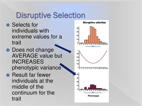 Ppt Selection On Quantitative Traits Powerpoint Presentation Free