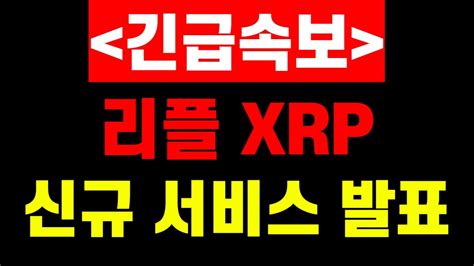 리플 새벽에 갑자기 신규 서비스 발표 이거 뭔가요 리플속보 리플 리플코인 Youtube