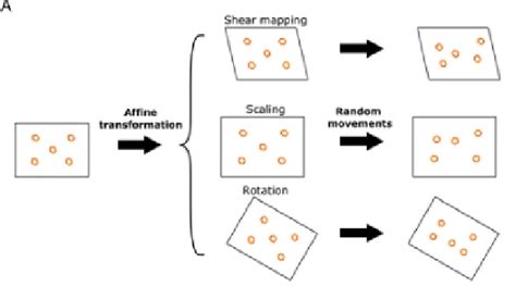 Figure 1 From Opleiding Informatica A Tool For Manual 3d Cell Track
