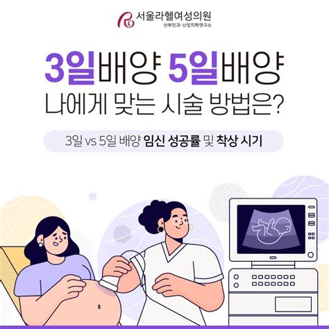 시험관아기시술 3일 배양 5일 배양 이식 차이점과 임신 성공률 착상 시기 네이버 블로그