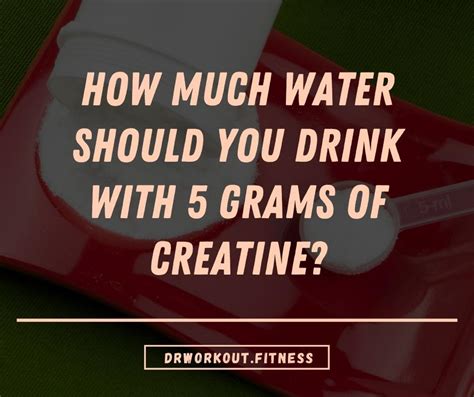 How Much Water To Drink With Creatine All You Need To Know Dr Workout