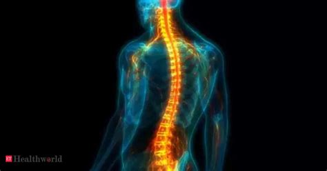 Deeptek Launches Ai Lumbar Spine Quantification Automation Tool Deepspine Health News Et