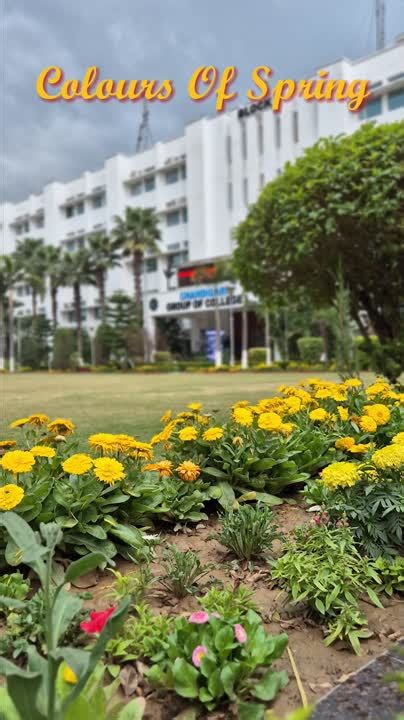 Cgcjhanjeri Cgcmohali Eachoneonejob Cgcjhanjeri Cgcplacemenpower Cgc Jhanjeri