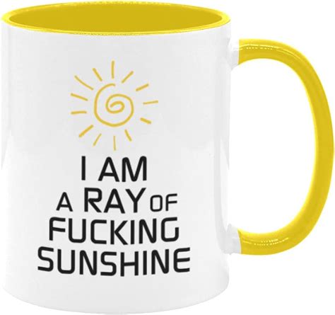 Funny Summer Sunshine Coffee Mug I Am A Ray Of Fucking