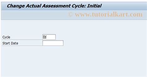 CPP N SAP Tcode Change Actual Assessment For Processes