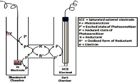 Scheme Of Mechanism Of Current Generation Download Scientific Diagram