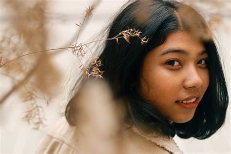 Young Mango Tree Photos Download The Best Free Young Mango Tree Stock