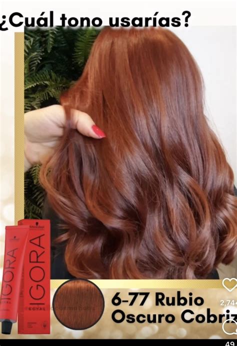 Pin De Camila En Color De Pelo Cabello Cafe Rojizo Tonos Cafes Para