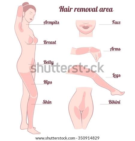 Area Hair Removal Naked Girl Full Stockvektor Royaltyfri 350914829 Shutterstock