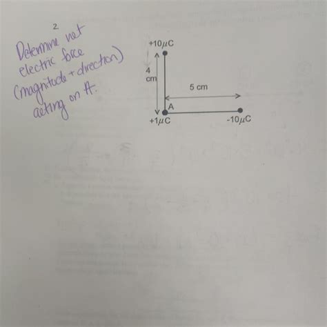 Solved Determine Net Electric Force Magnitude And