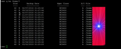 Ibm Tsm Dsmc Console Client Use For Listing Configured Backups