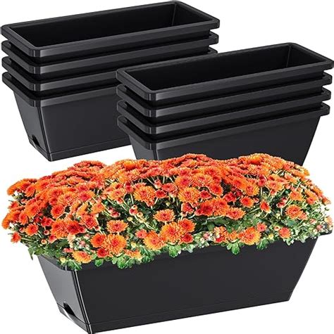 Rectangular Window Planters Set With Drainage House Plants Expert
