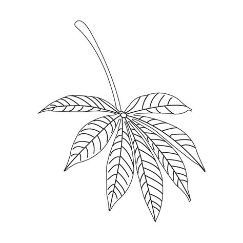 Cassava Leaf Icon 46432059 Vector Art At Vecteezy