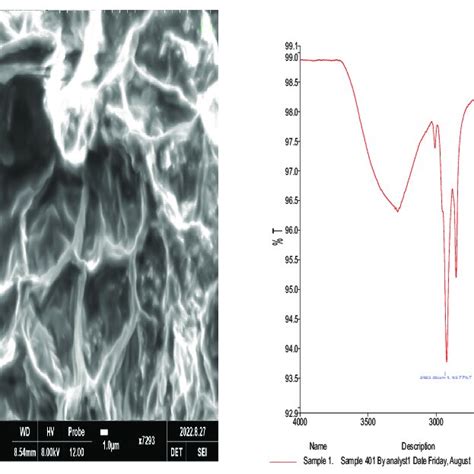 scanning electron micrograph sem images and fourier transform