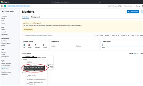 Elastic Synthetic Error You Cant Manually Starts Test On A Private