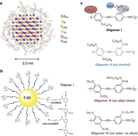 Modified Cds Nanoparticles And Polymers Investigated A Equilibrium