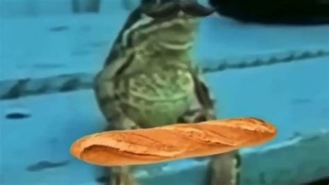 Phrog Meme Original Youtube