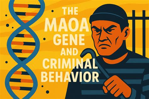 The Maoa Gene And Criminal Behavior Criminology Crimpsy