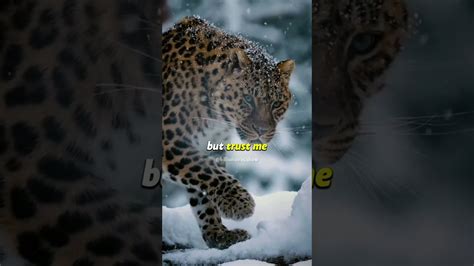 I Dont React 🤫 Youtube