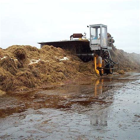Cecid Fly And Larvae Download Scientific Diagram