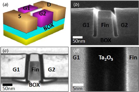 A A Schematic Of The Independent Double Gate Finfet For Rhk B D Download Scientific