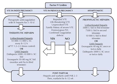 Figure 2 From The Effect Of Factor V Leiden Carriage On Maternal And Fetal Health Semantic