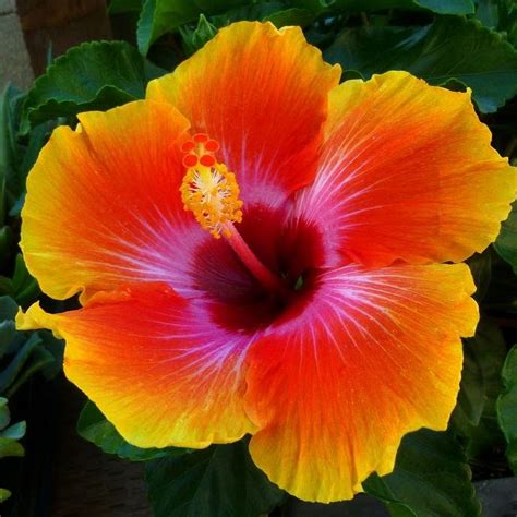 Michelle Malpass Youtube