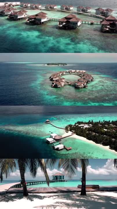 Ankita T Posted On Linkedin