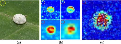 figure 2 from adaptive tiny object detection for improving pest