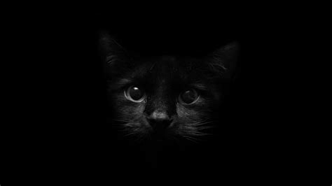 30 Beautiful Black Wallpapers For Your Desktop Mobile And Tablet Hd