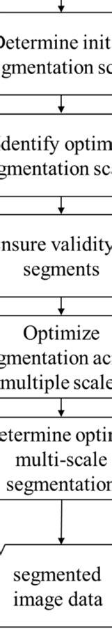 Schematic Processing Steps Of The Segmentation Download Scientific