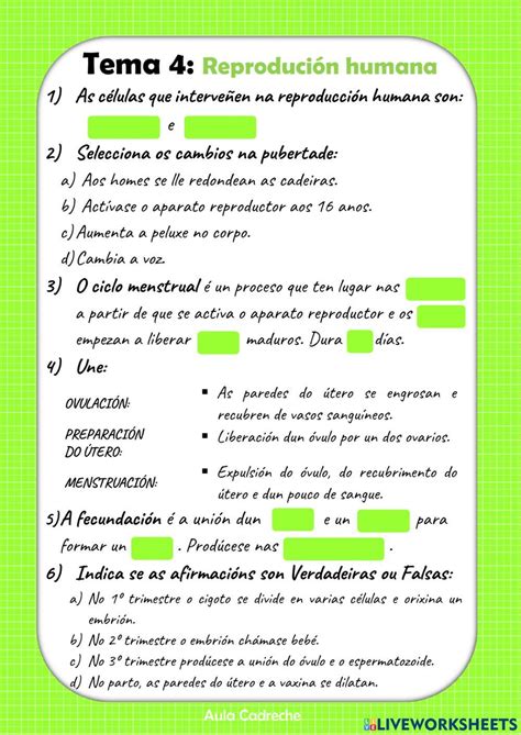 Reprodución Humana Worksheet Live Worksheets