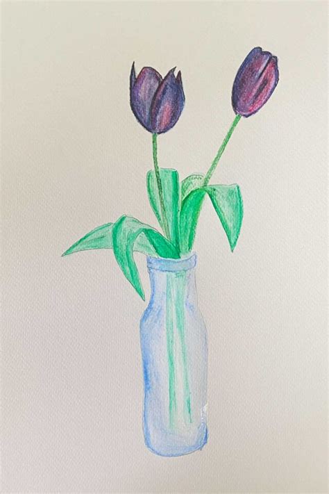 Easy How To Draw Tulips Step By Step Guide With Watercolors Picture Box Blue