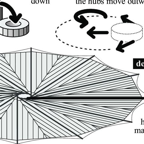 Wrapped Array Schematic Download Scientific Diagram