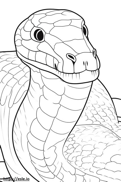 Burmese Python Cute Coloring Page