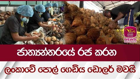Nipuni Munasinghe On Linkedin ජාත්‍යන්තරයේ රජ කරන ලංකාවේ පොල් ගෙඩිය ඩොලර් මවයි Rupavahini News