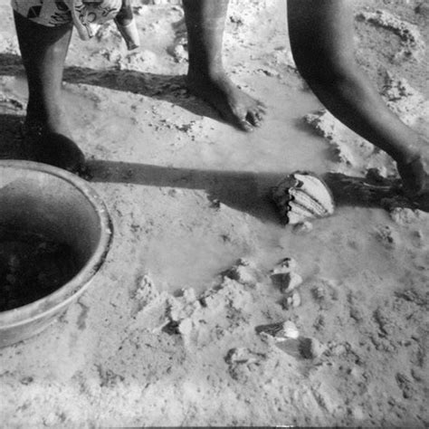 Bivalve Shell Terminology Download Scientific Diagram