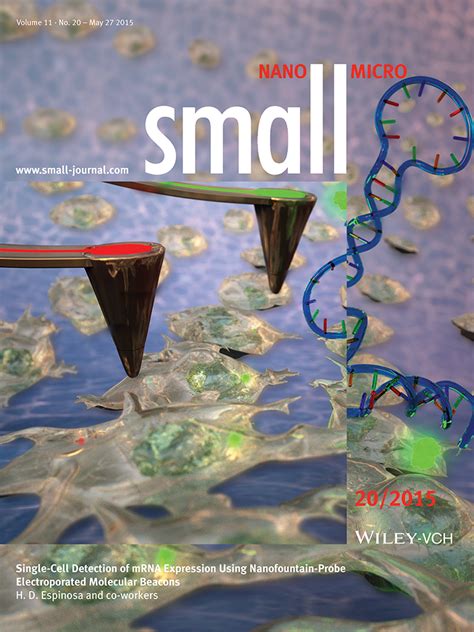 Surface Plasmon‐enhanced Photodetection In Few Layer Mos2