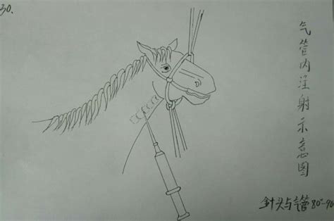 针头素描 针头简笔画 大山谷图库