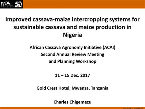 Improved Cassava Maize Intercropping Systems For Sustainable Cassava And Maize Production In