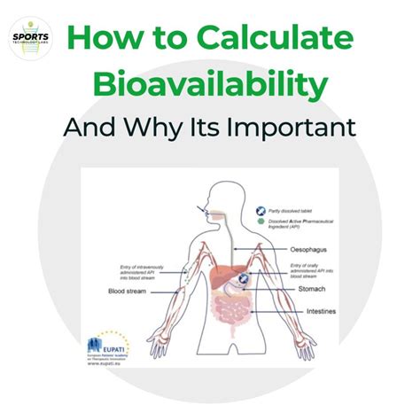 How To Calculate Bioavailability With Formula And Optimization Tips
