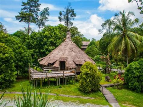 Las Mejores Cosas Que Hacer En Borneo El Blog Del Viajero