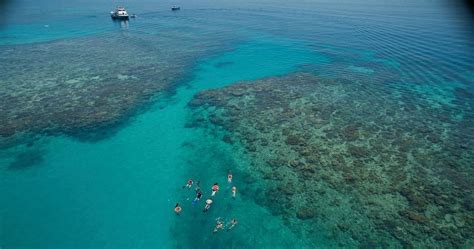 그레이트 배리어 리프 스노클링 및 초보 스쿠버다이빙 Ocean Freedom 줌줌투어 호주 케언즈