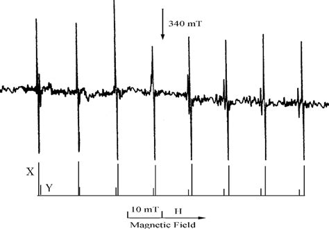 Epr Spectrum Of Vo 2 Doped Kto Single Crystal With The Magnetic Field