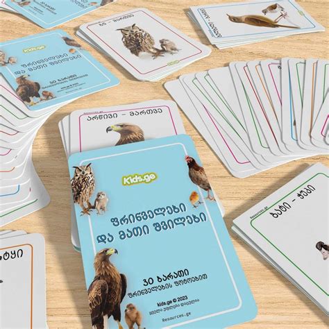 Resources Ge შემეცნებითი და განმავითარებელი რესურსები