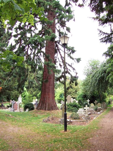 Cemetery Entrance At Newport Pagnell Buckinghamshire Photo Taken