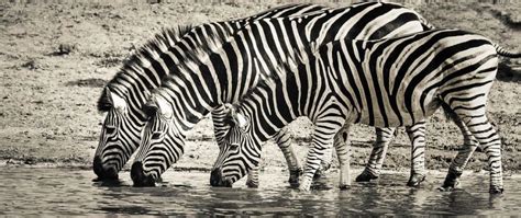 aws lambda in built uuid dev community