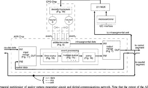 Figure 5 From An Asynchronous Architecture For Modeling Intersegmental Neural Communication