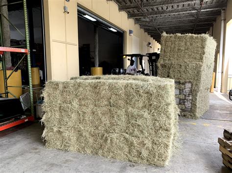 H300 Coastal Bermudagrass 2 Tie Bale Southeast Hay